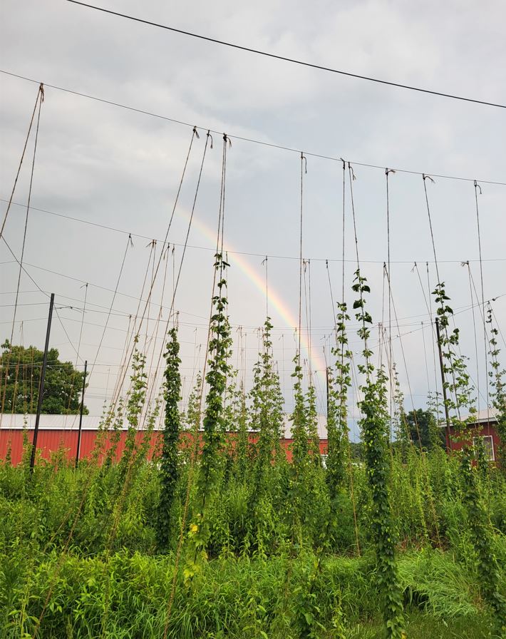 Home - Waredaca Brewing Company