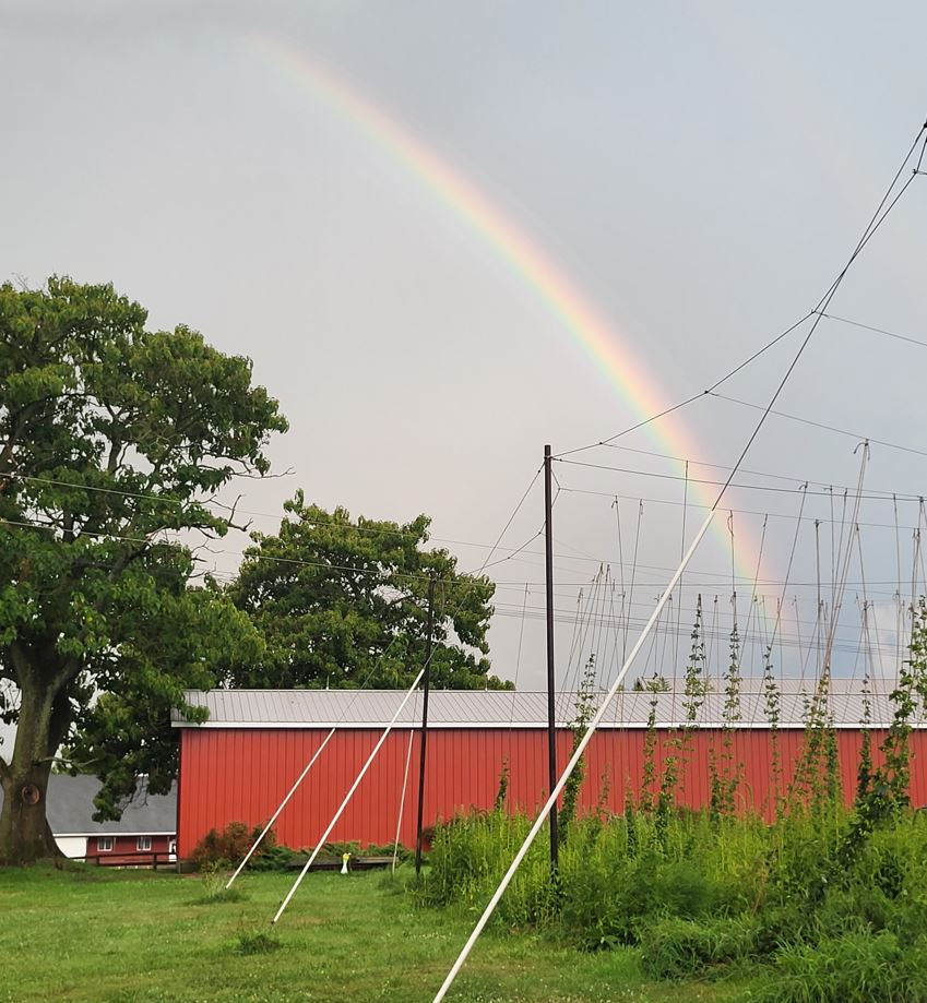 Home - Waredaca Brewing Company